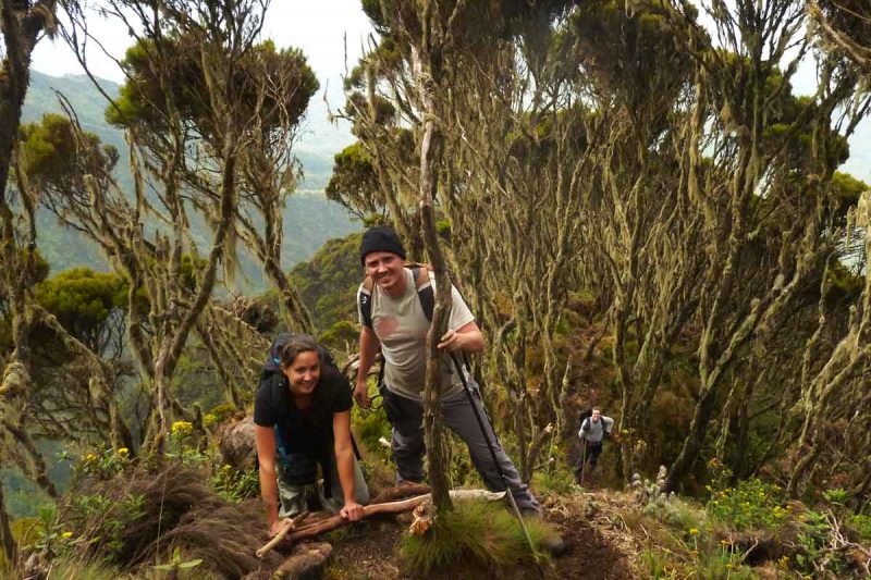 Volcano Climbing in Mgahinga Gorilla National Park [Uganda] 2026